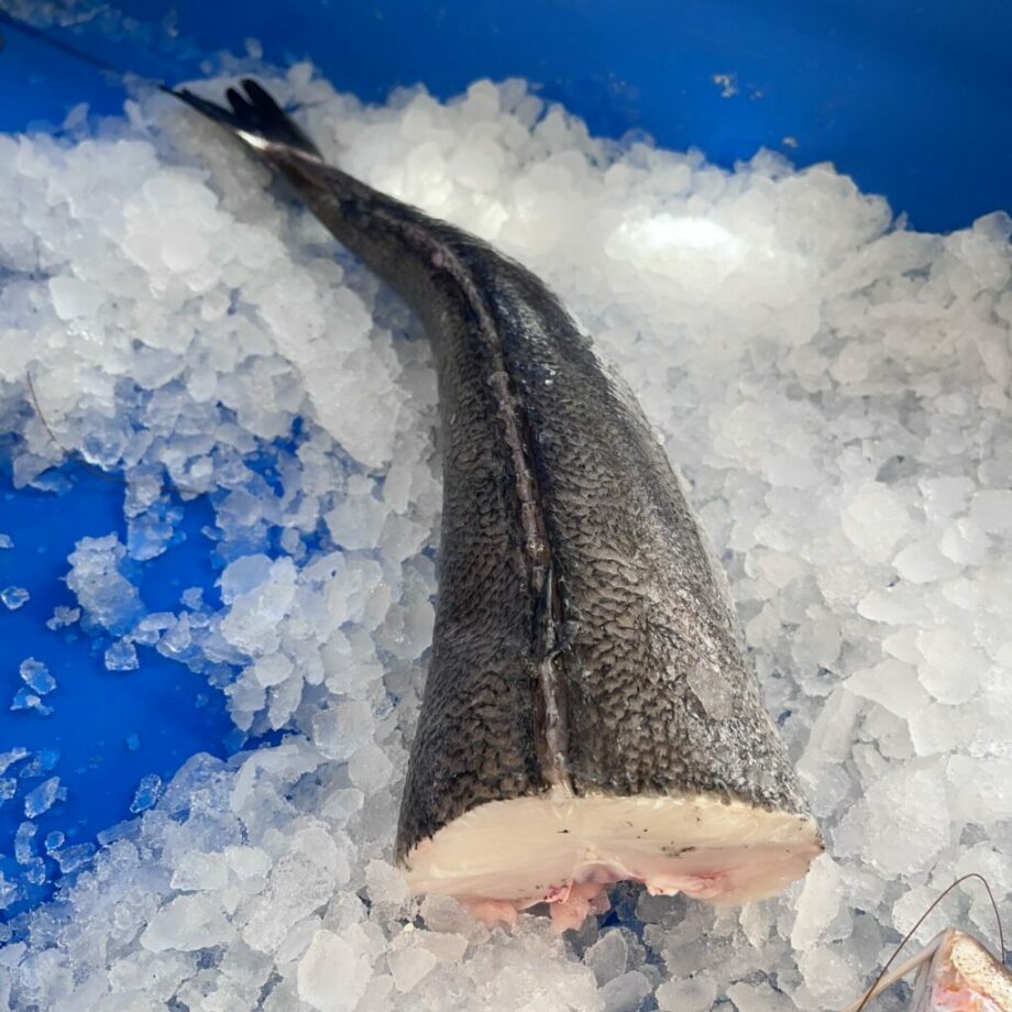 Poissonnerie la rascasse 66