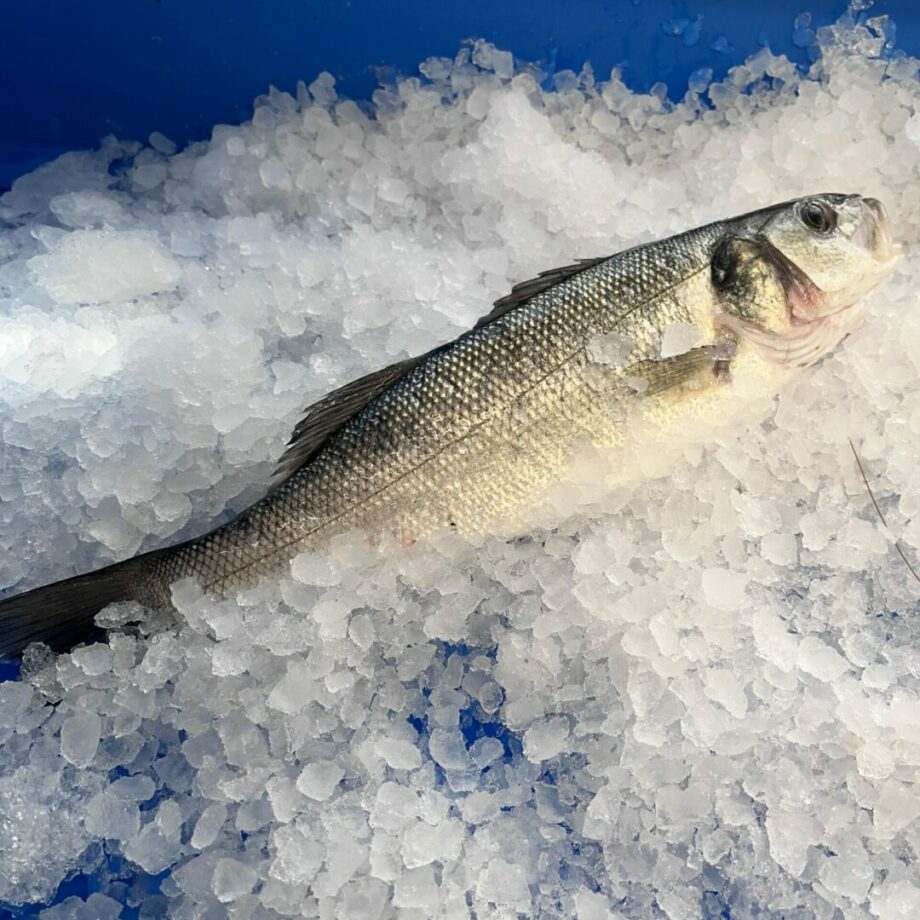 Poissonnerie la rascasse 66