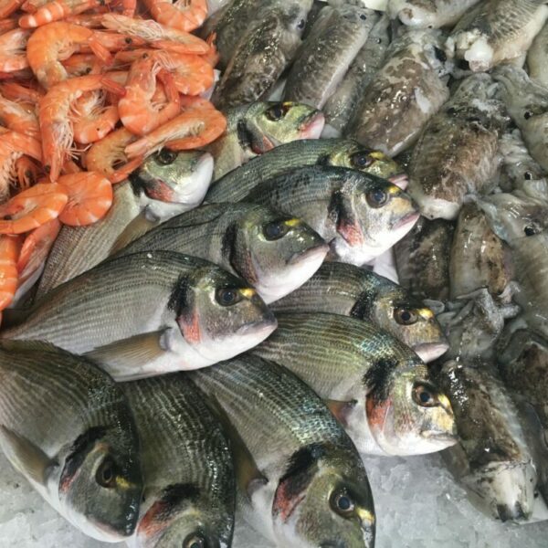 Poissonnerie la rascasse 66