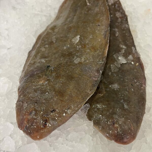 Poissonnerie la rascasse 66